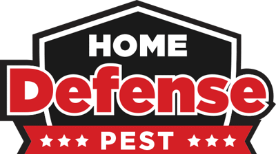Pest Control Services in Fayetteville | Natural State Pest Control